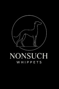 Nonsuch Whippets